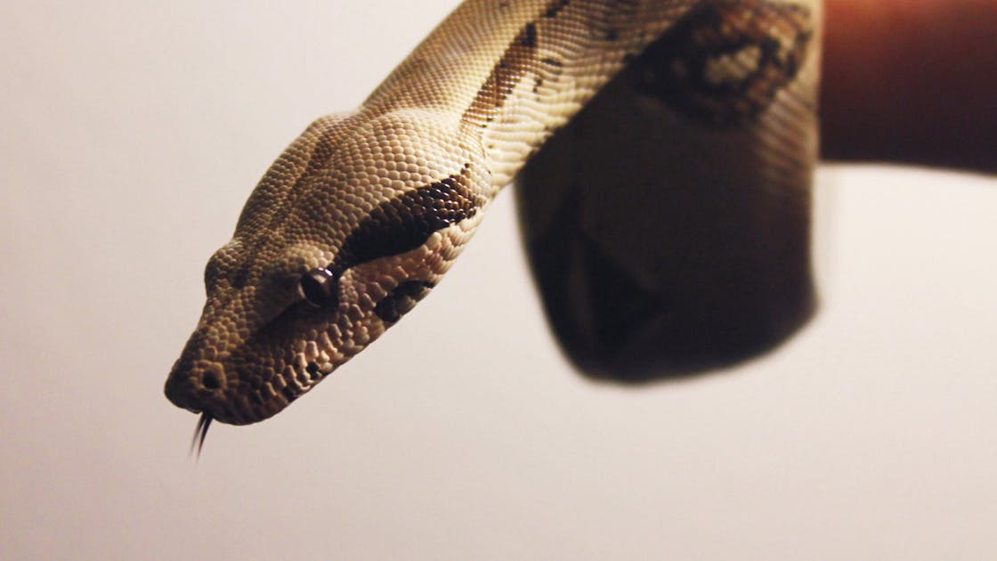 Is the Devil Real? Yes. Here’s Why Satan’s Existence Matters | Finds ...