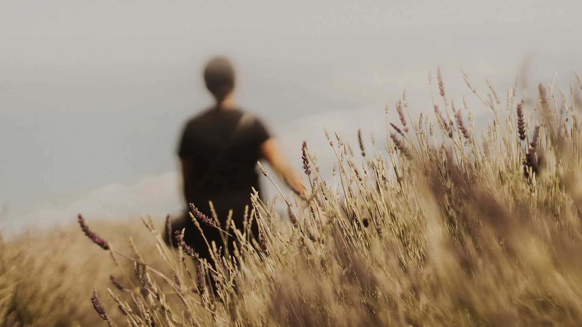 How to Start Following Jesus | Finds.Life.Church