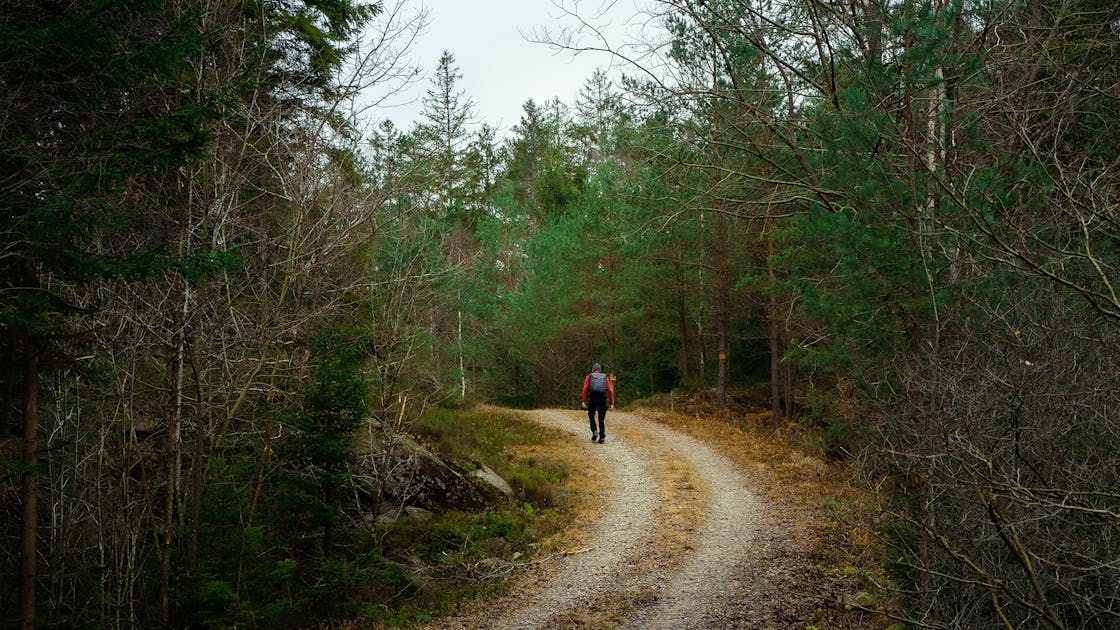 What Is Discipleship? Start With This Simple Guide | Finds.Life.Church