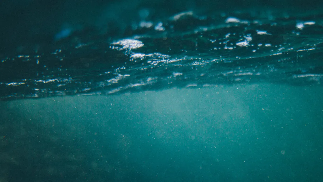 What Is Baptism and Why Does It Matter? | Finds.Life.Church