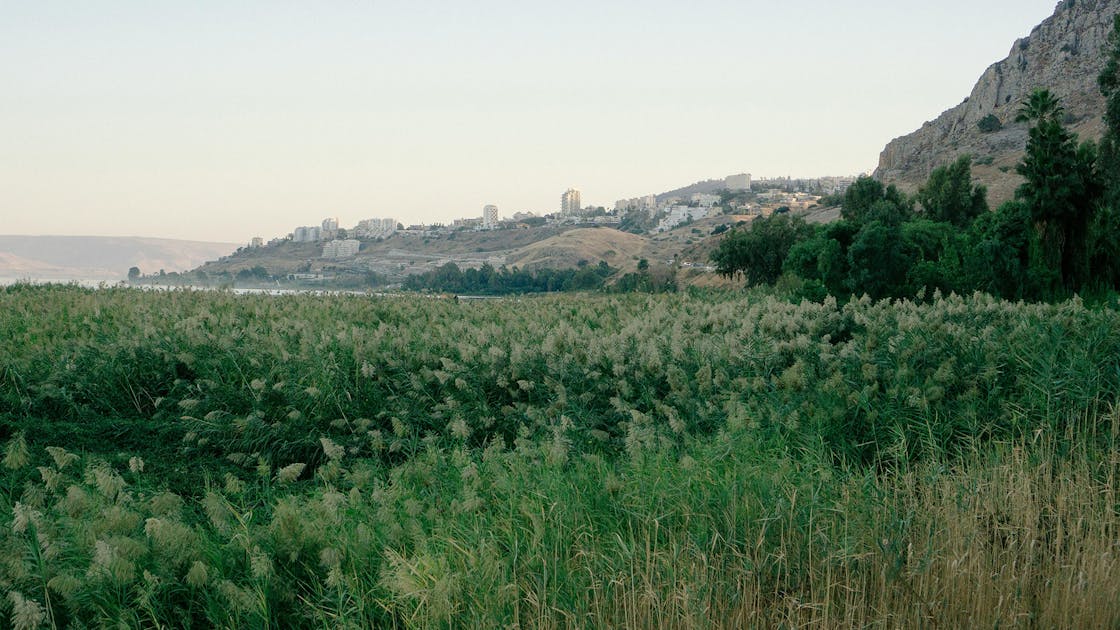 5 Examples of People Experiencing Doubt in the Bible | Finds.Life.Church