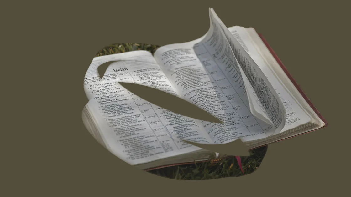 Old Testament Bible Stories | Finds.Life.Church