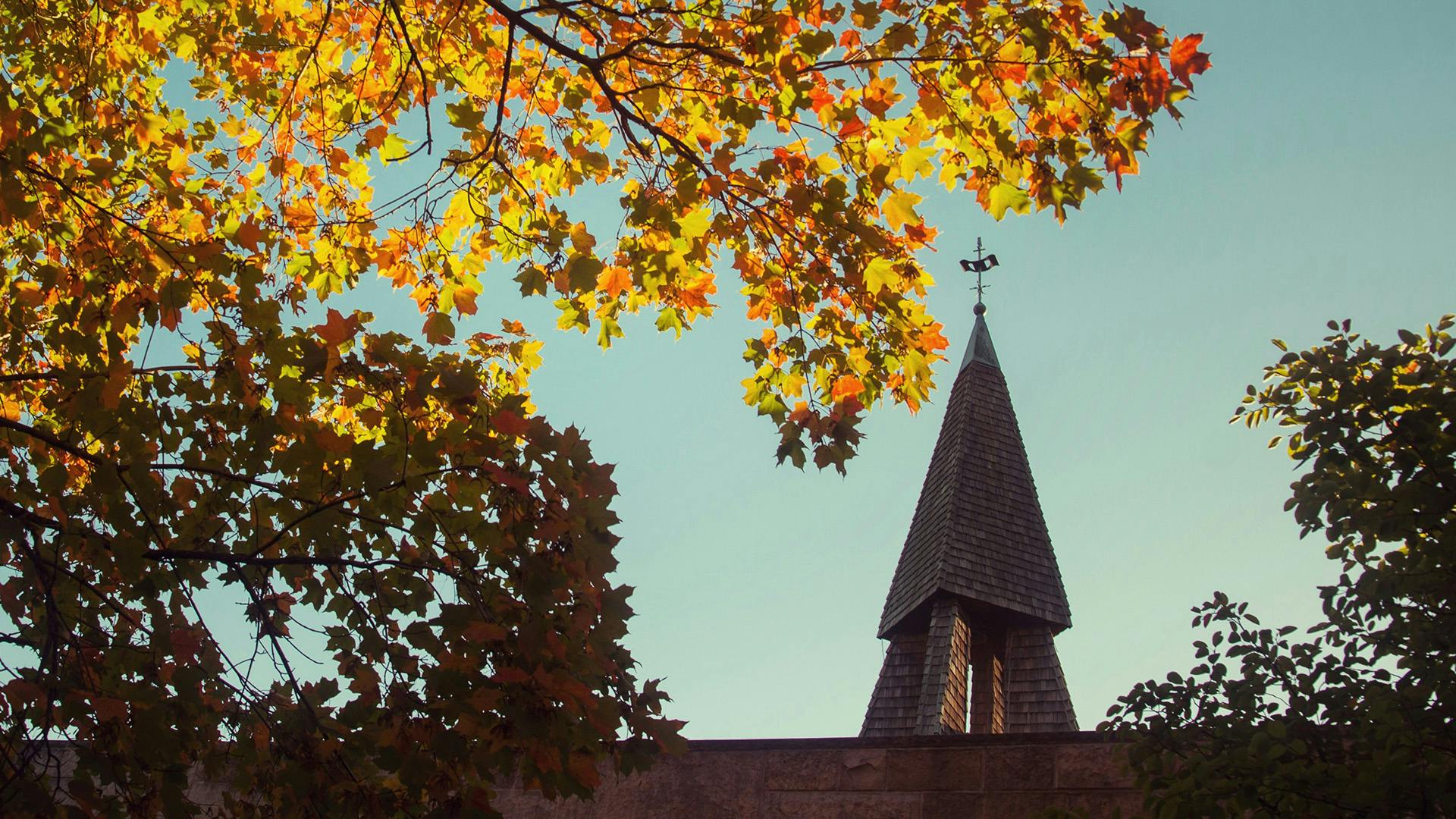 Articles | Finds.Life.Church