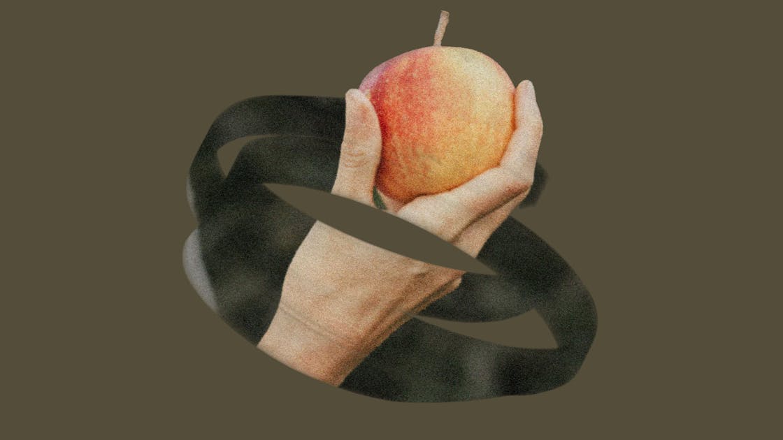 The Fall: A Bible Story About Trust, Temptation, and Hope | Finds.Life ...