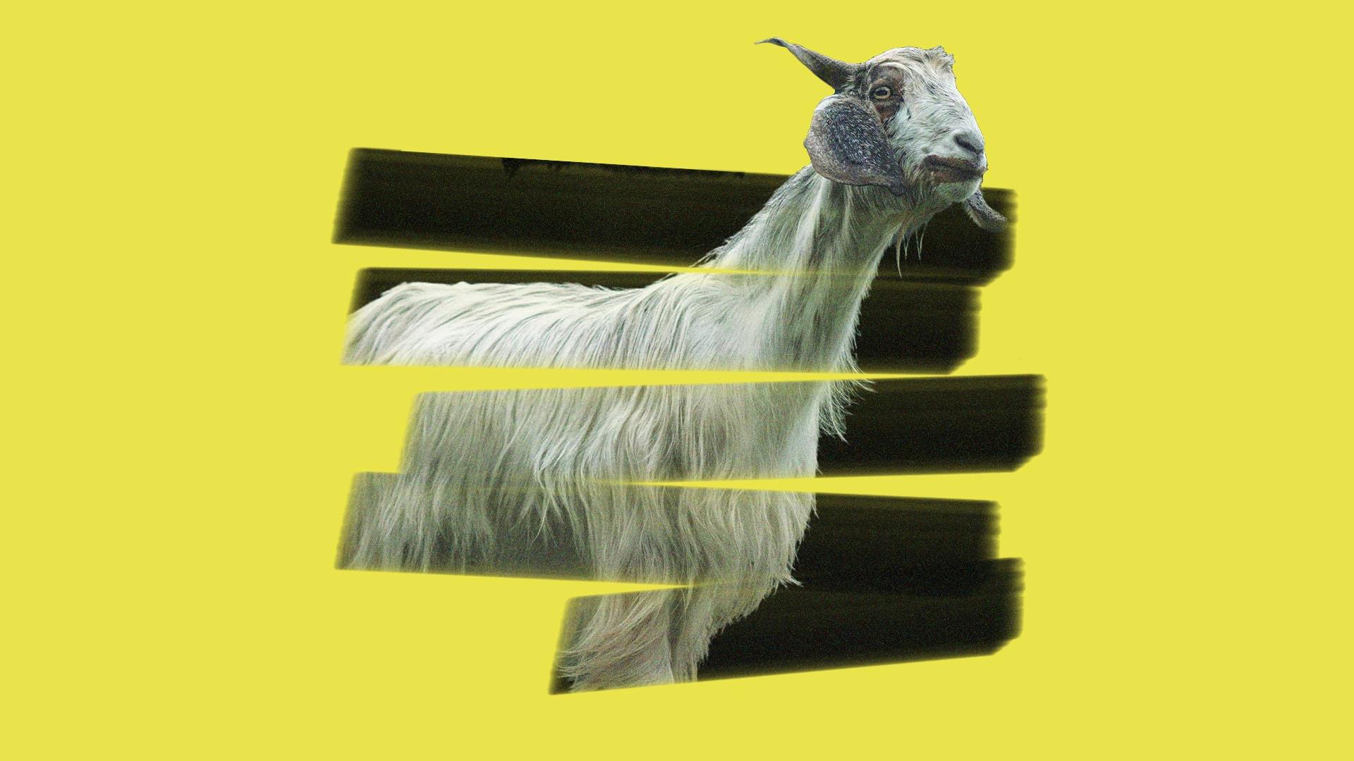 The Parable of the Sheep and Goats Explained: How Our Actions Reflect ...