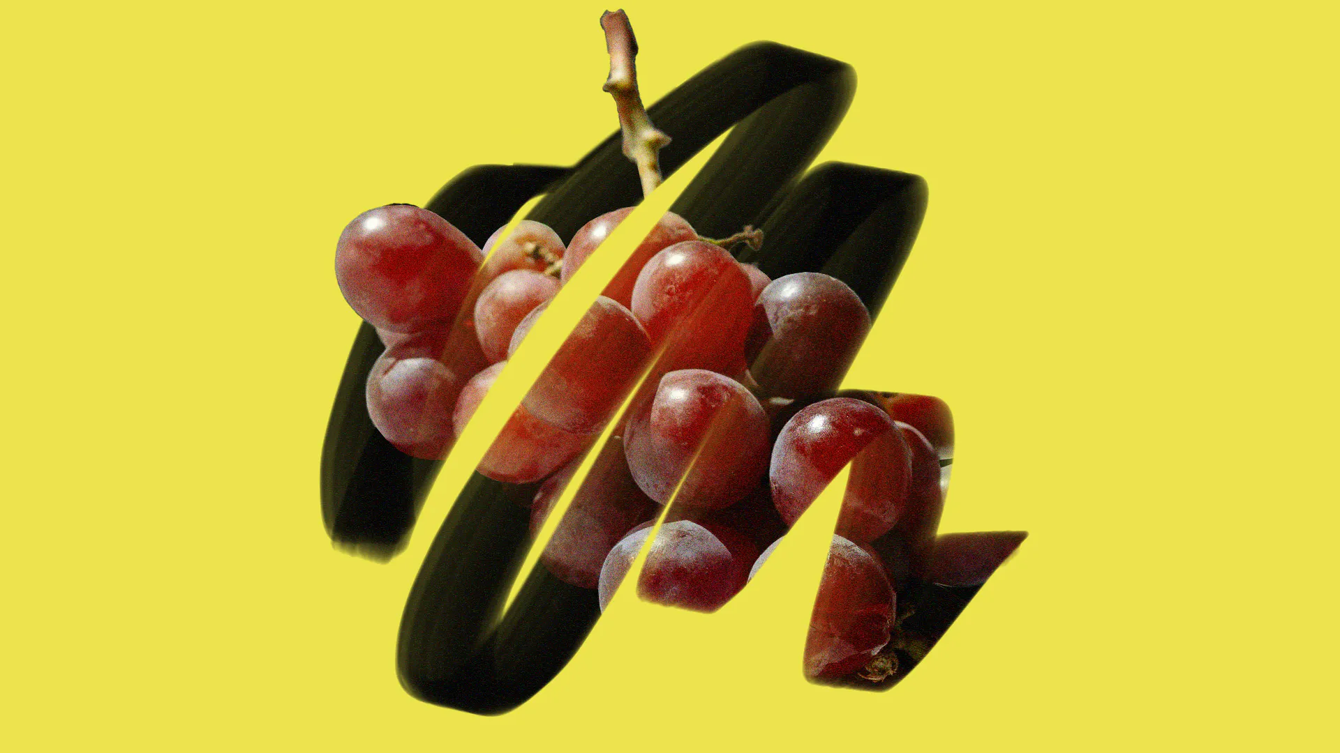 Fruit of the Spirit: What Does the Bible Say About Joy That Lasts ...
