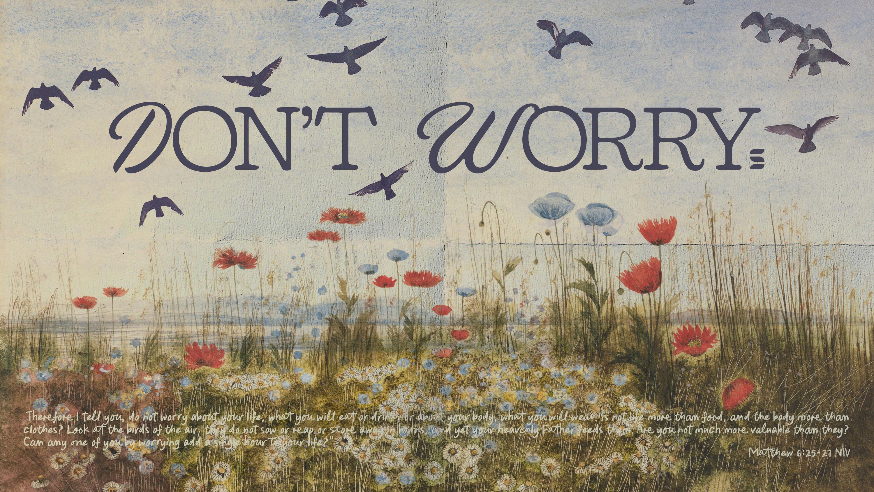 Switch Videos | Life.Church