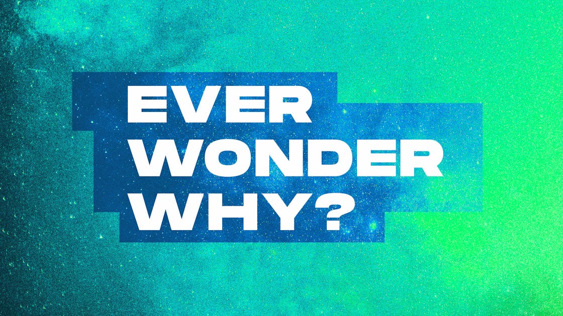 Ever Wonder Why?